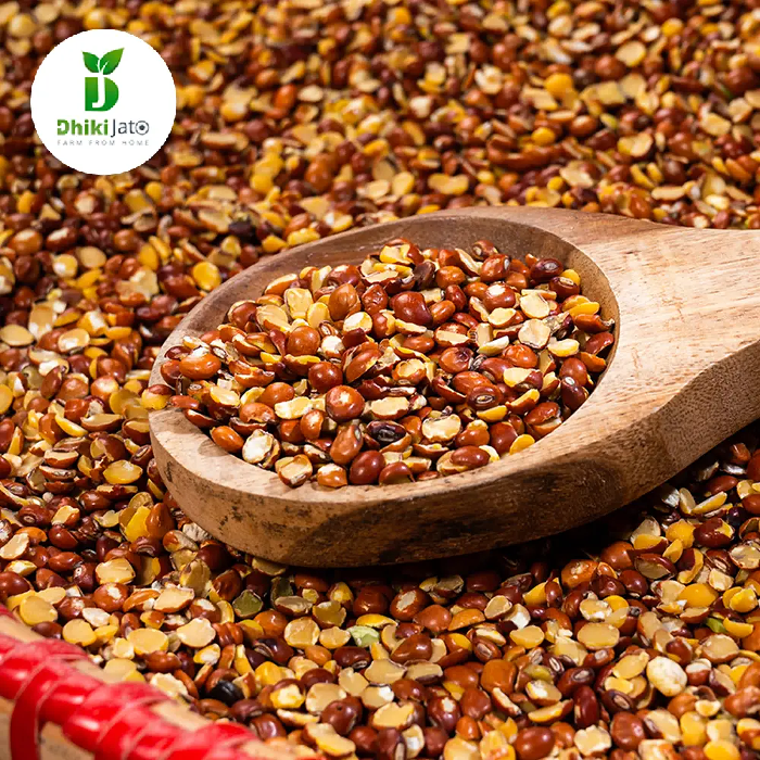 Dhiki Jato : Farm From Home|Rahar Daal